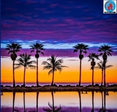 Brain Tech Learning Centre